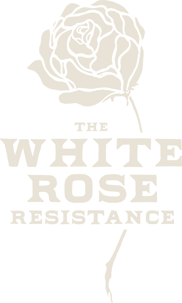 Attend A Screening - The 1916 Project